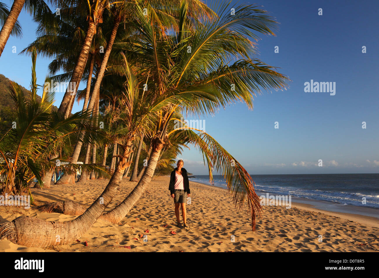 Ellis Beach, tropics, Beach, seashore, coast, palms, camping site, sea ... Ellis Beach, tropics, Beach, seashore, coast, palms, camping site, sea ...