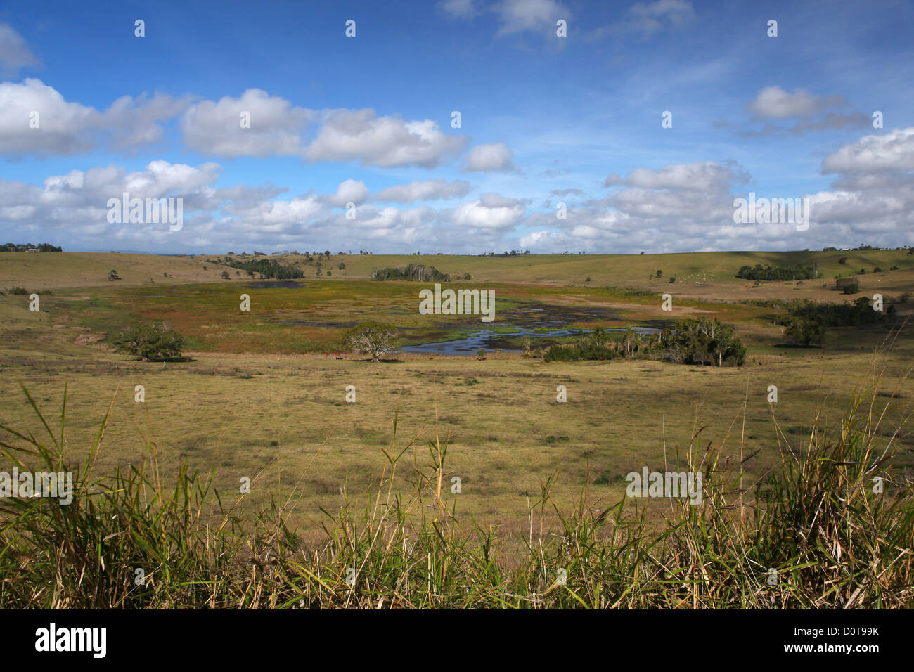 Bromfield Swamp, marsh, volcano crater, Malanda, Mt. Hypipamee ...