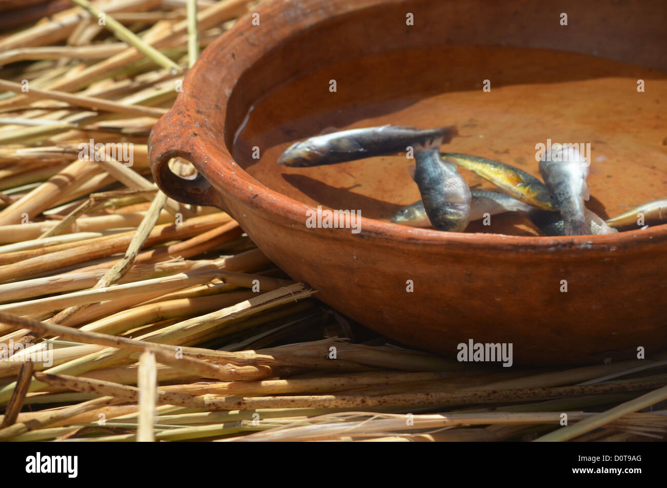 Ceramic bowl of Fish, kept on the Uros Islands, Lake Titicaca, Peru ...