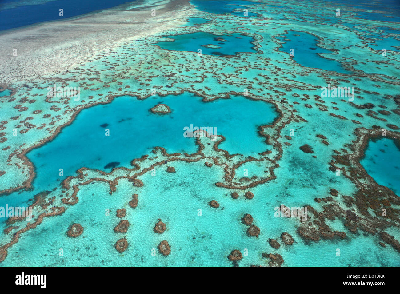 Heart of the reef hi-res stock photography and images - Alamy