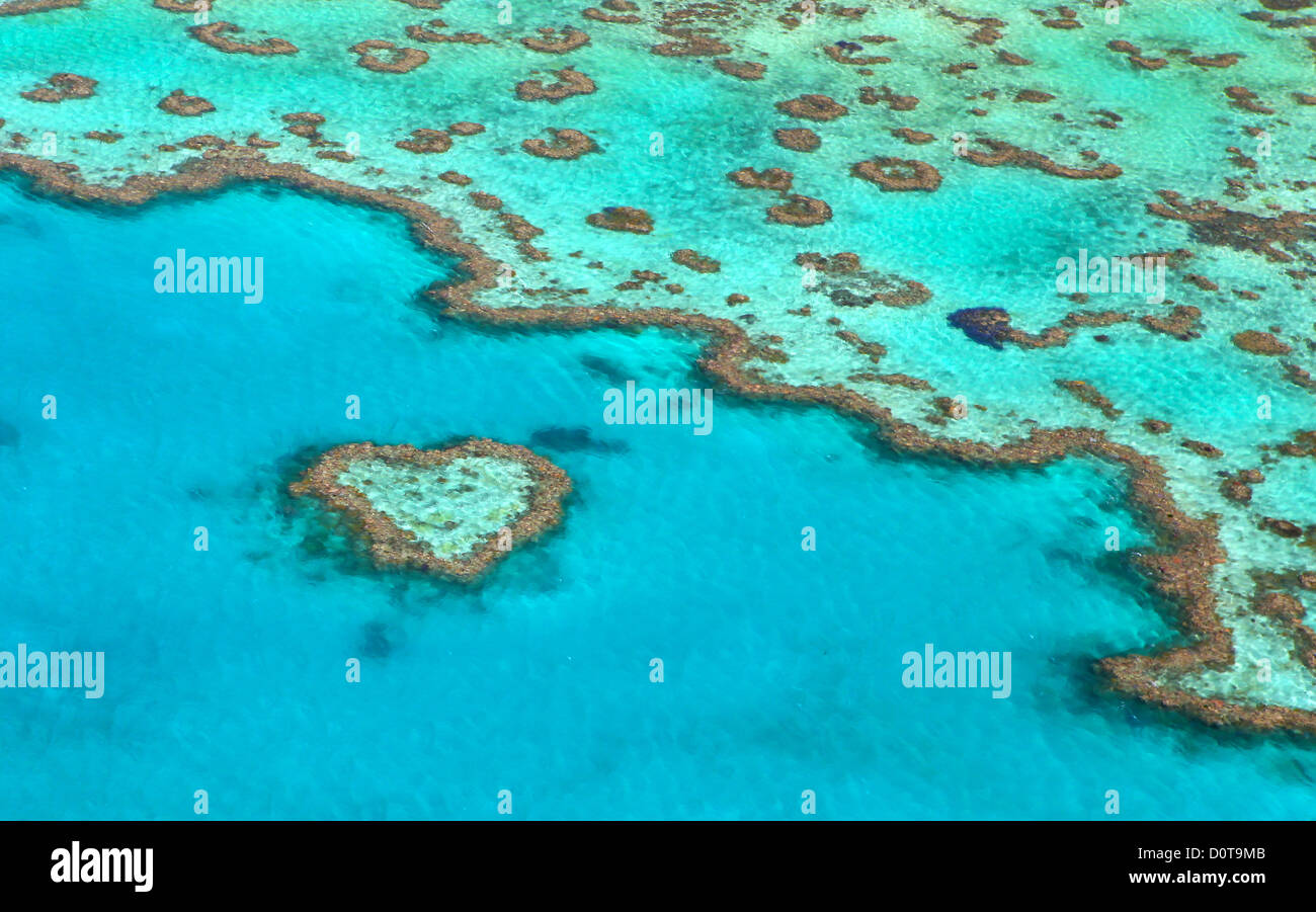 Heart Reef, Hardy Reef, Great Barrier Reef, nature, helicopter ...