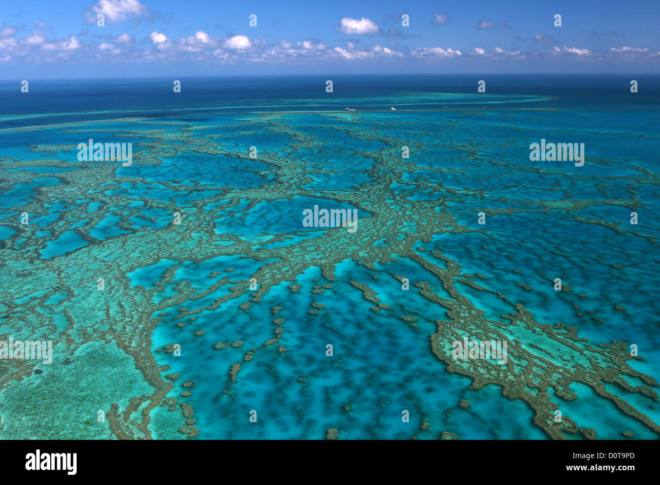Hardy Reef Great Barrier Reef nature helicopter Queensland Australia ...
