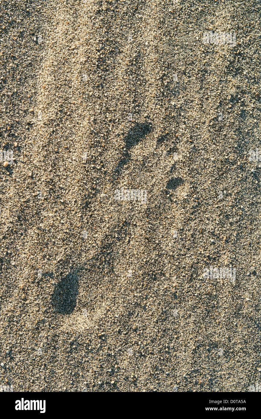 Single footprints hi-res stock photography and images - Alamy