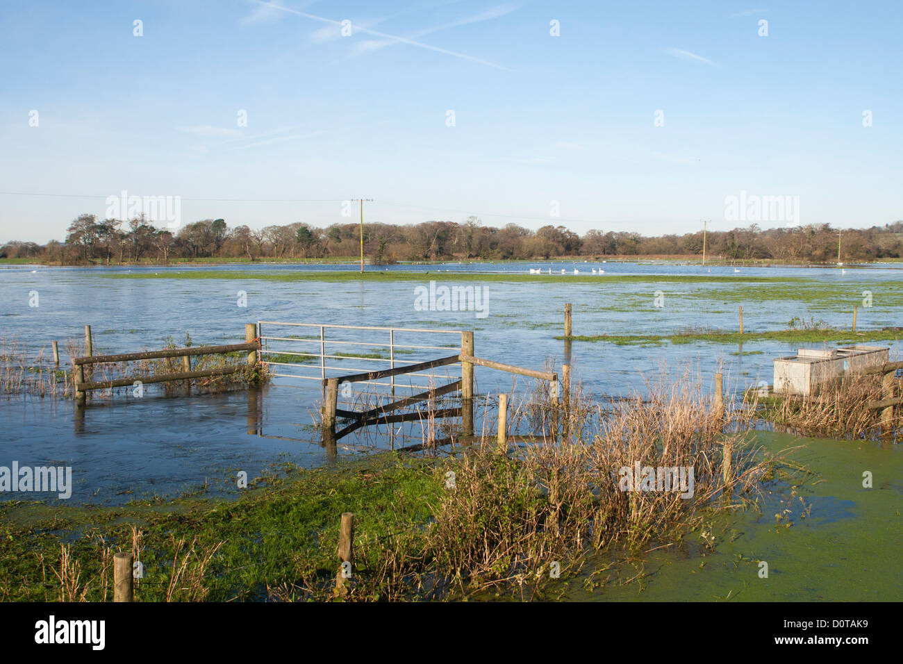 Flooded farmland, 2012 Stock Photo - Alamy