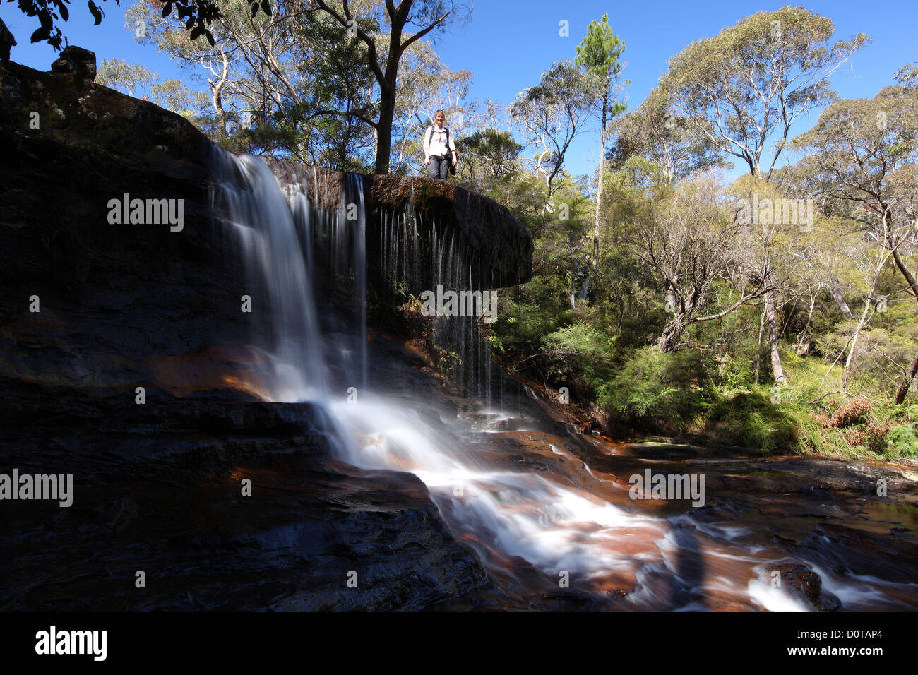 Wenthworth of case, waterfall, woman, water, mountains, Blue Mountains ...