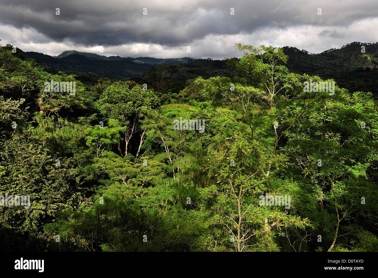 Copan River Valley, Copan, Ruins, Central America, Honduras, tropical ...