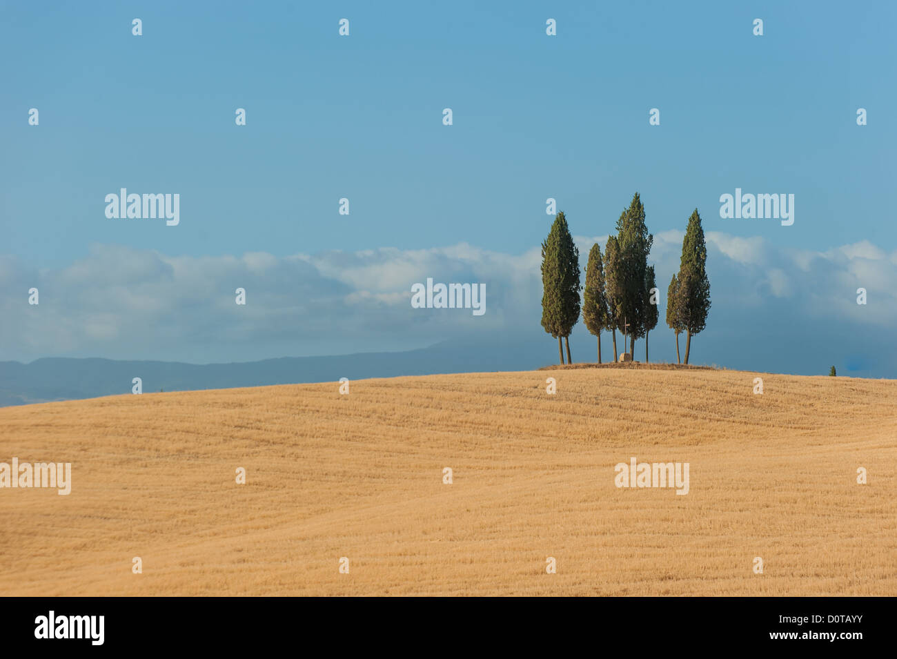 typical tuscan landscape Stock Photo - Alamy