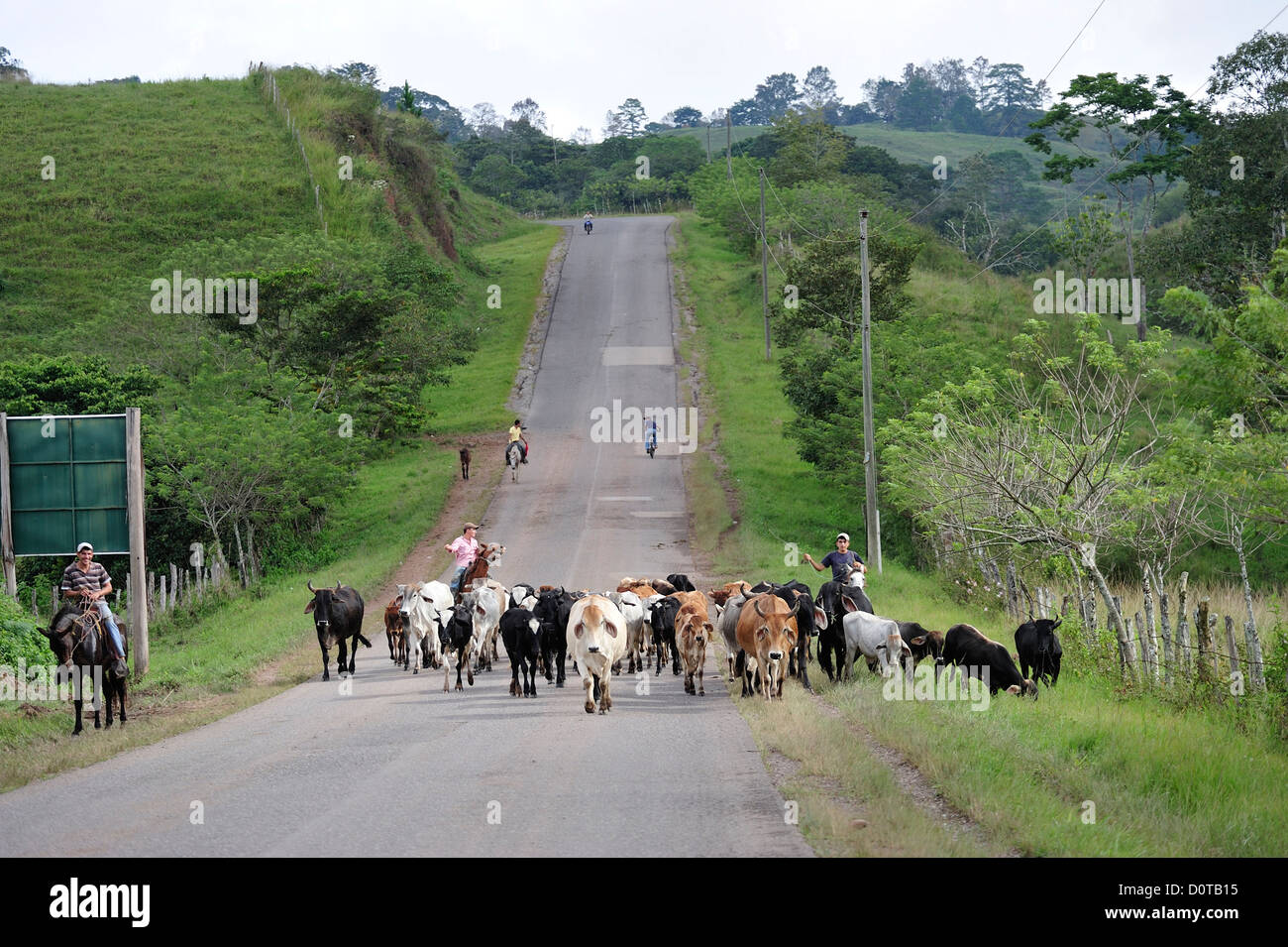 Rural street america hi-res stock photography and images - Alamy