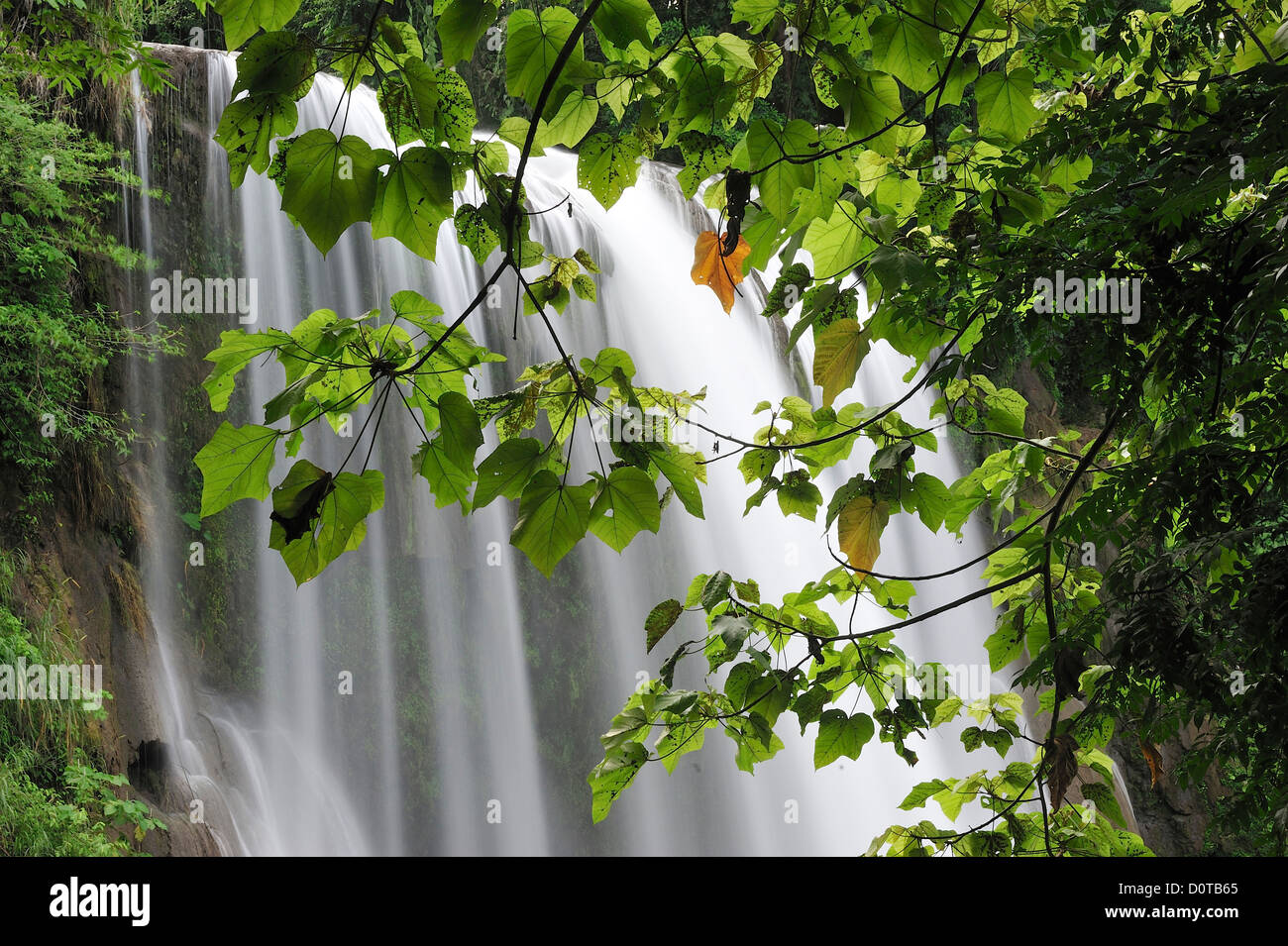 Pulhapanzak waterfalls hi-res stock photography and images - Alamy