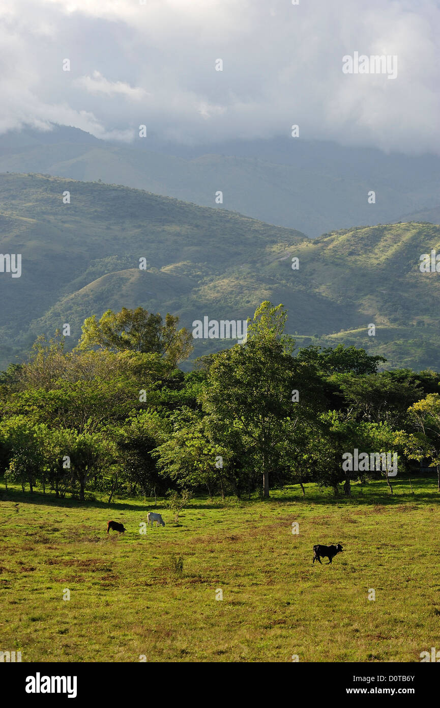 Mountain Range, border, Guatemala, near Copan, Ruins, Central America ...