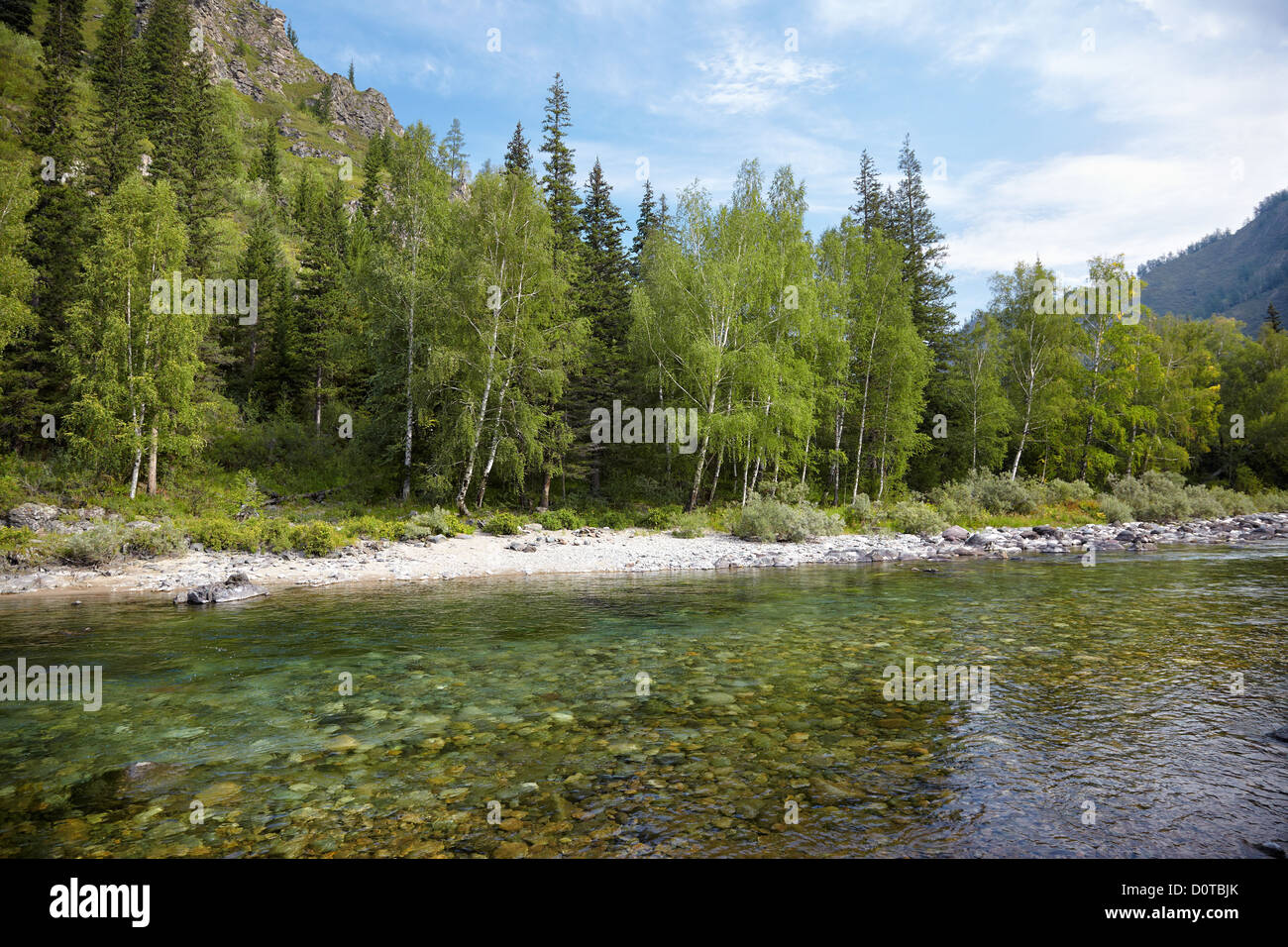 Altai river Kumir Stock Photo - Alamy