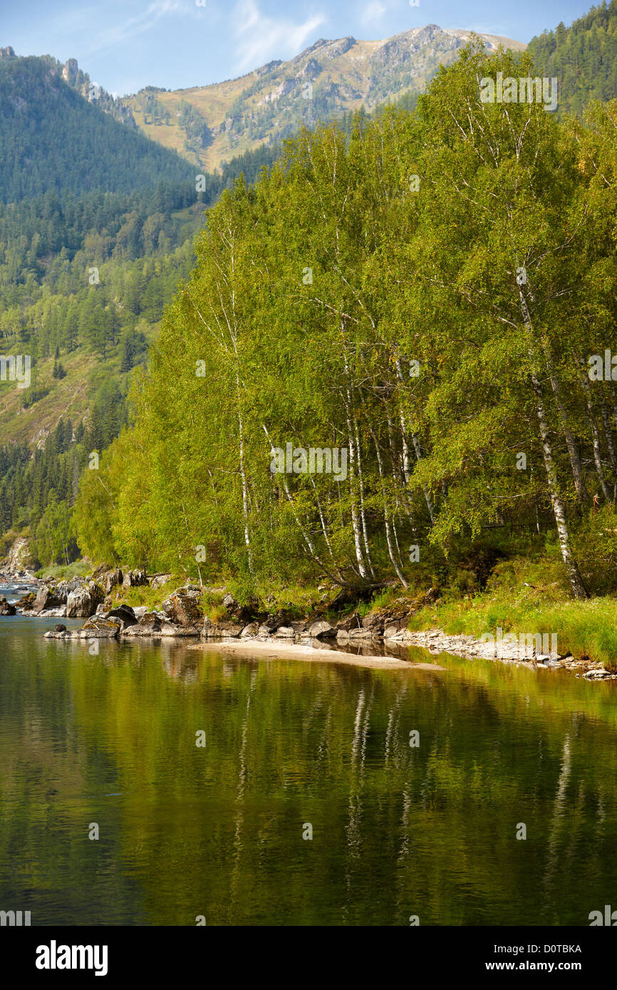 Altai river Kumir Stock Photo - Alamy