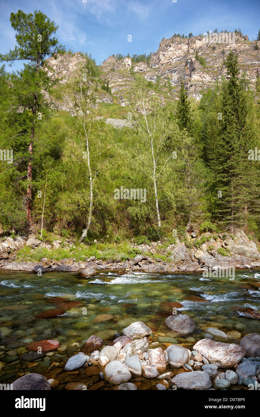 Altai river Kumir Stock Photo - Alamy