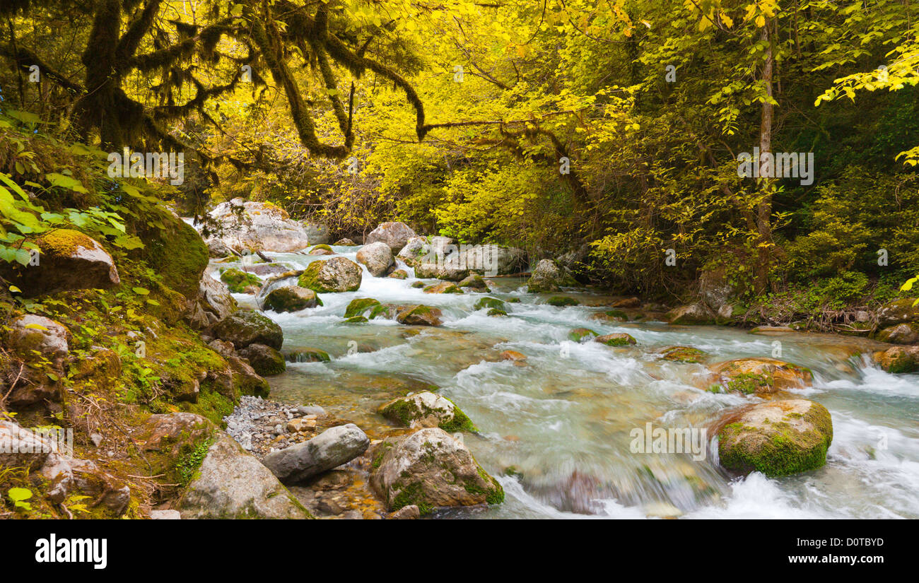 Mountain river scenic in fall hi-res stock photography and images - Alamy