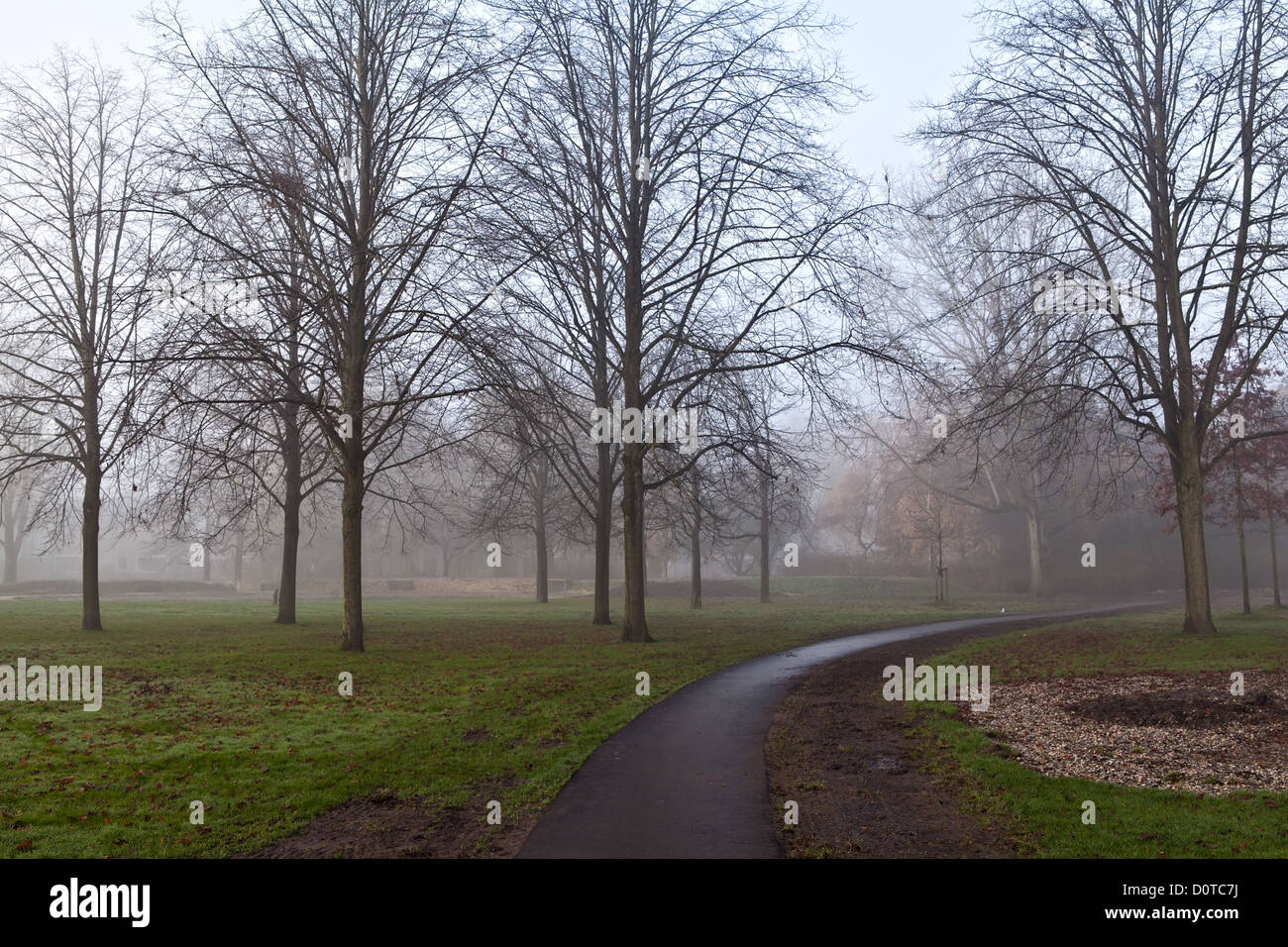 path in the park with dense fog Stock Photo - Alamy