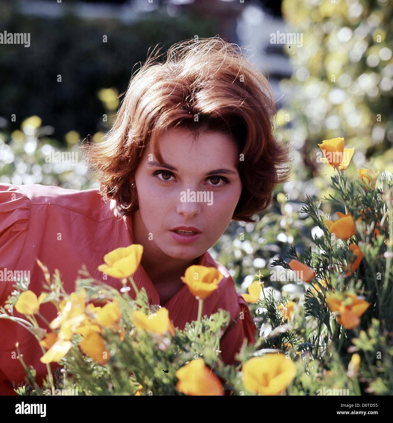 ANGELA DORIAN 1975.k27358.Supplied by Photos, inc.(Credit Image ...