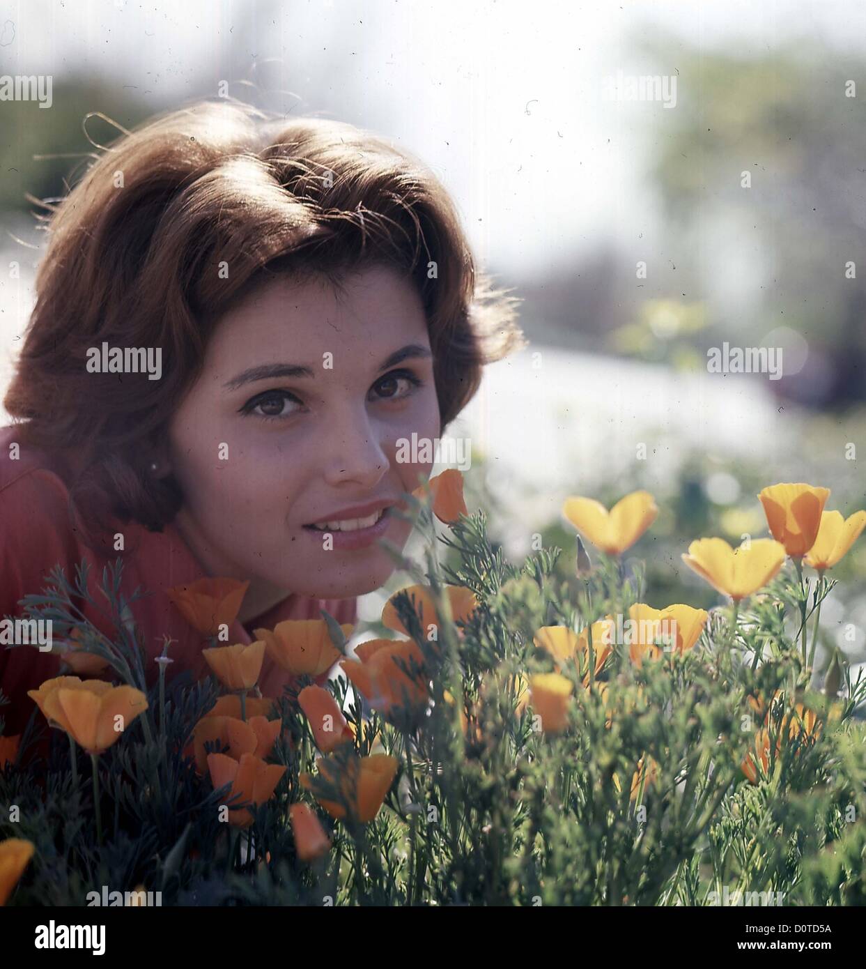 ANGELA DORIAN 1975.k27358.Supplied by Photos, inc.(Credit Image ...