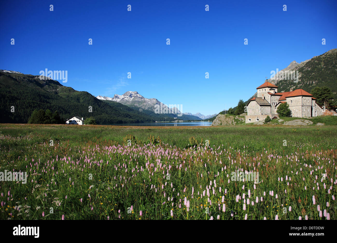 Travel, Nature, Geography, Europe, Switzerland, Graubunden, Grisons ...