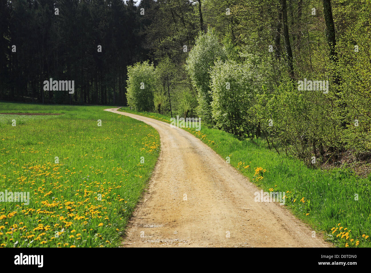 Pathway road hi-res stock photography and images - Alamy
