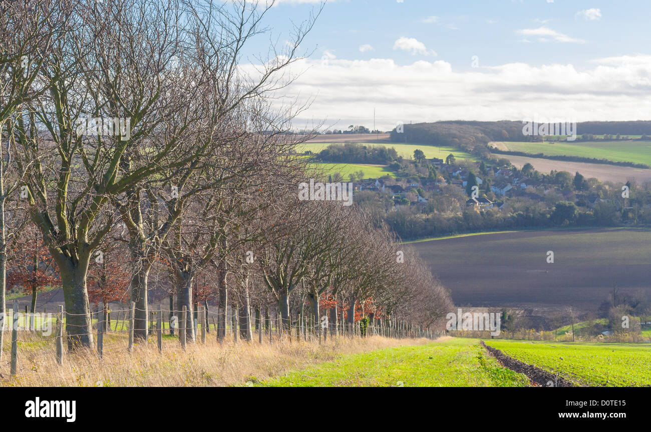 View across Darent Valley to chalkhurst wood in the distance Stock ...