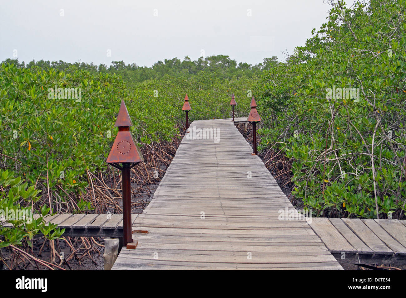 Mandina Lodges resort, The Gambia, West Africa Stock Photo - Alamy