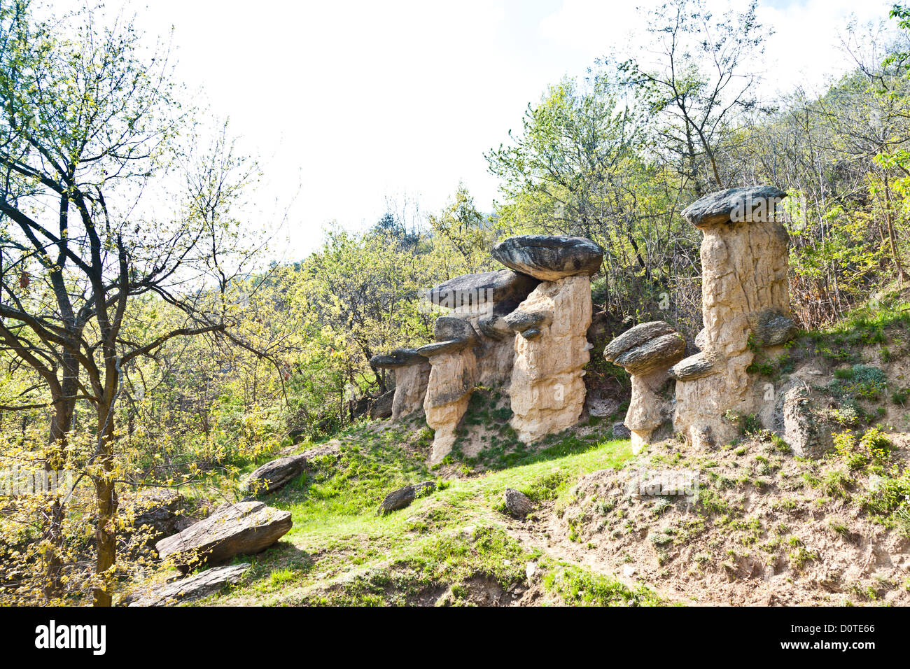 Imaginative forest landscape Stock Photo - Alamy