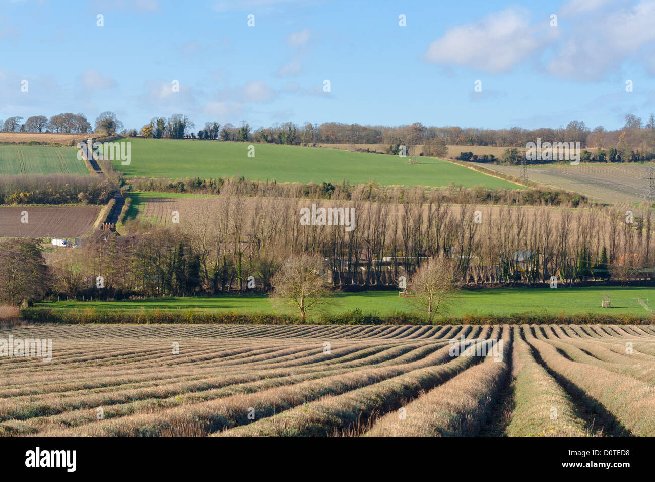 Kent landscape hi-res stock photography and images - Alamy