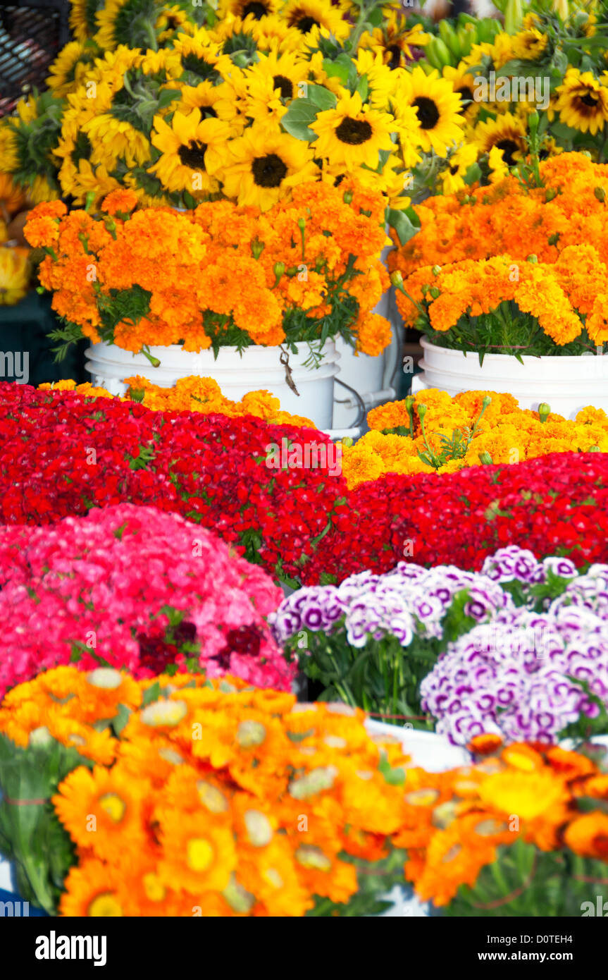 Outdoor, flower, shop Stock Photo - Alamy