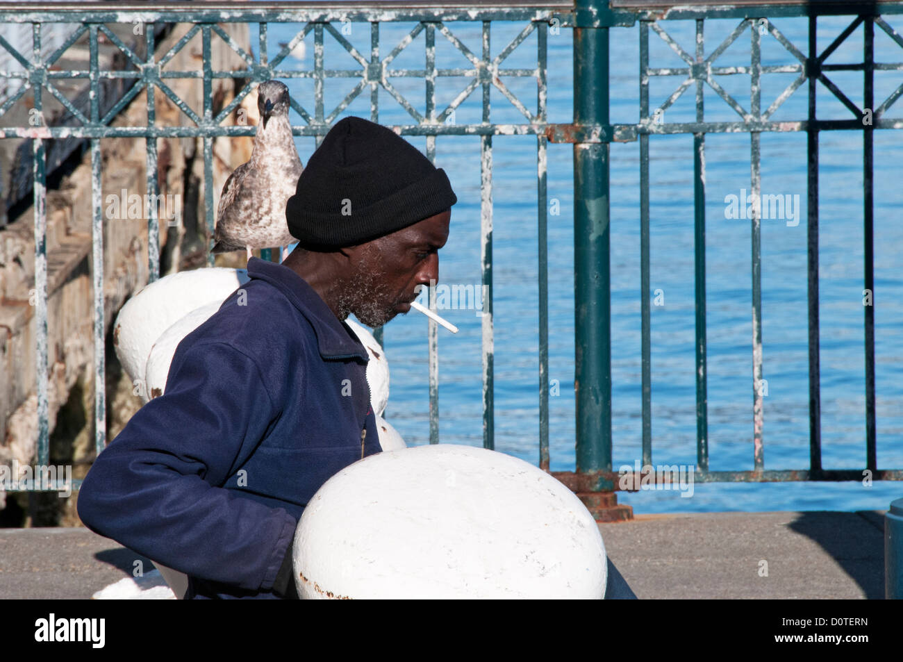 homeless man sitting on bench Stock Photo - Alamy