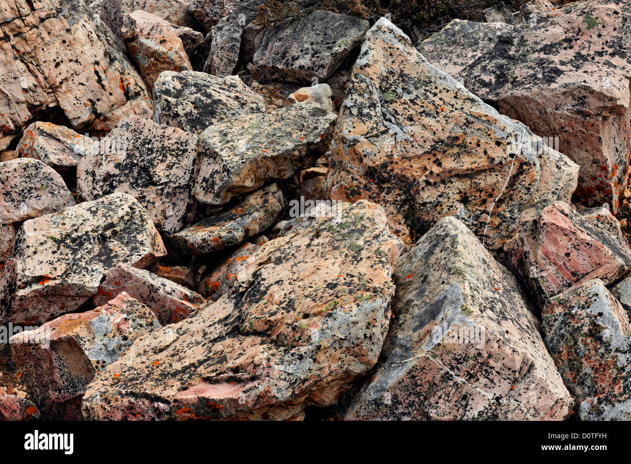 Jumbled rockpile from slide or avalanche, Jasper National Park, Alberta ...