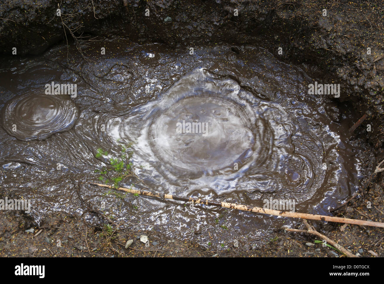 Bubbling mud thermal pools tokaanu hi-res stock photography and images ...