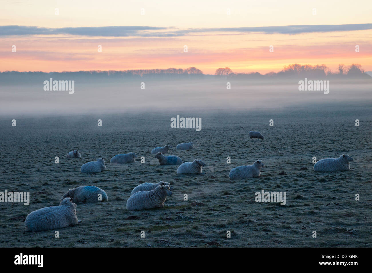 UK, United Kingdom, Great Britain, Britain, England, Wiltshire ...