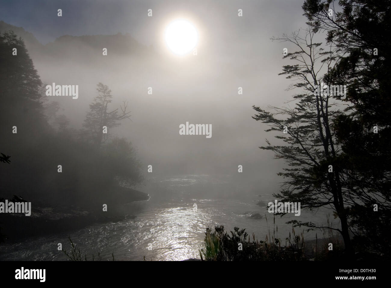 Mist rising off the river hi-res stock photography and images - Alamy