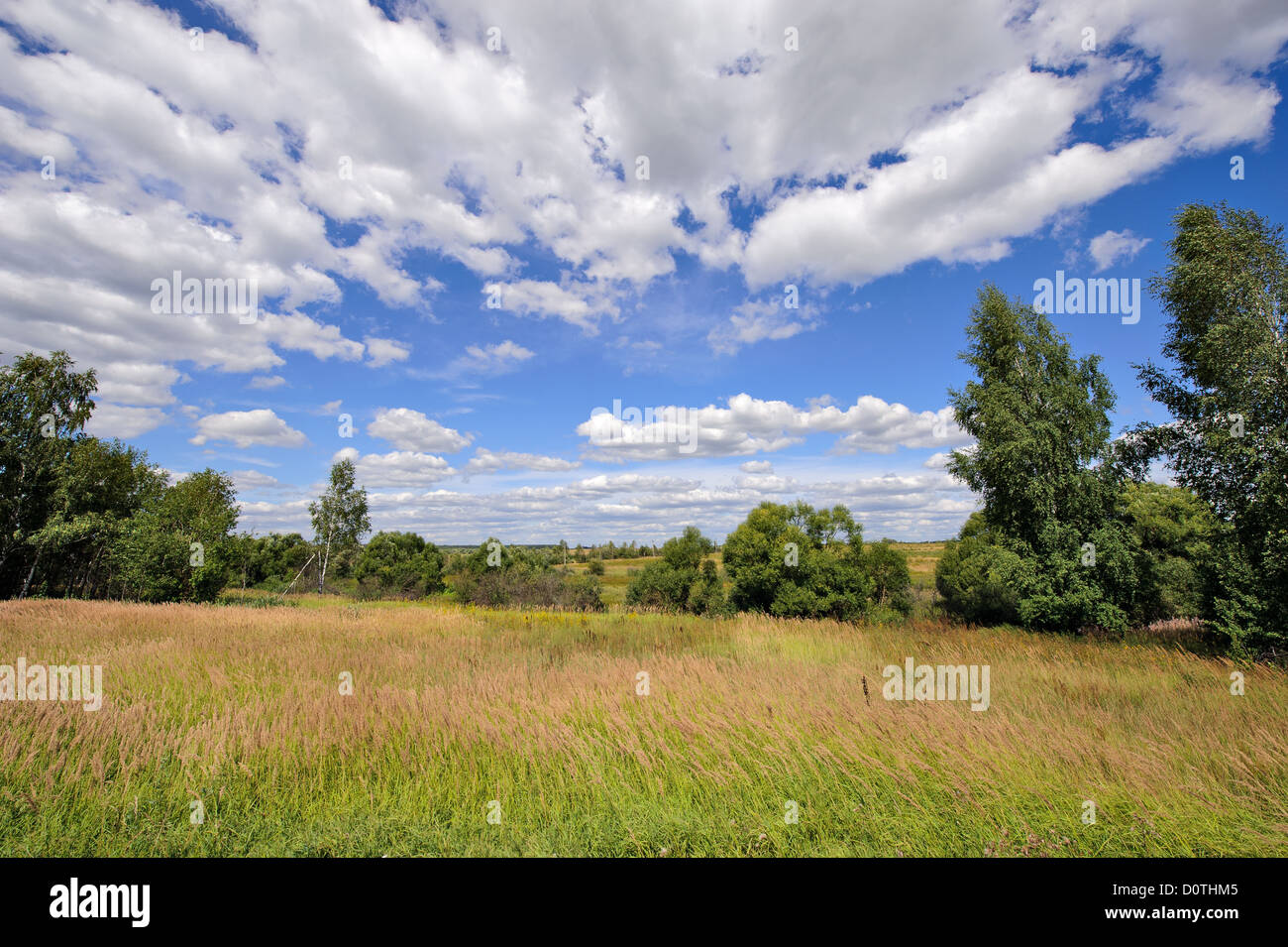 Rural landscape with meadow Stock Photo - Alamy