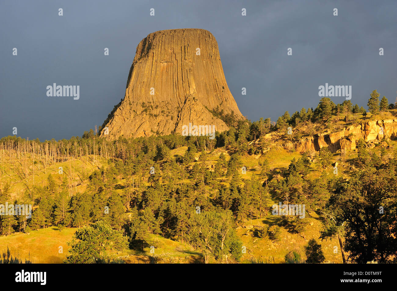 Devils Tower, National Monument, Wyoming, prairie, grassland, volcanic ...