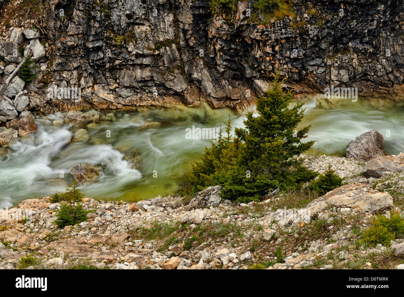 Cameron River, Waterton Lakes National Park, Alberta, Canada Stock ...