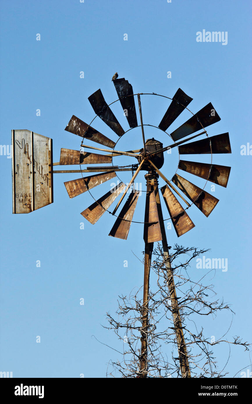 Texas, windmill, USA, United States, America, wheel, round, old, metall ...