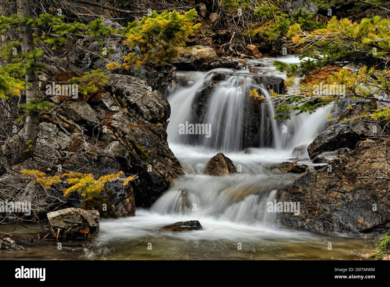 Hidden waterfall in Cameron River canyon, Waterton Lakes National Park ...