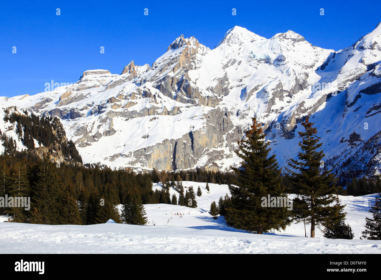Alps, Alpine, panorama, view, mountain, mountains, massif, mountain ...