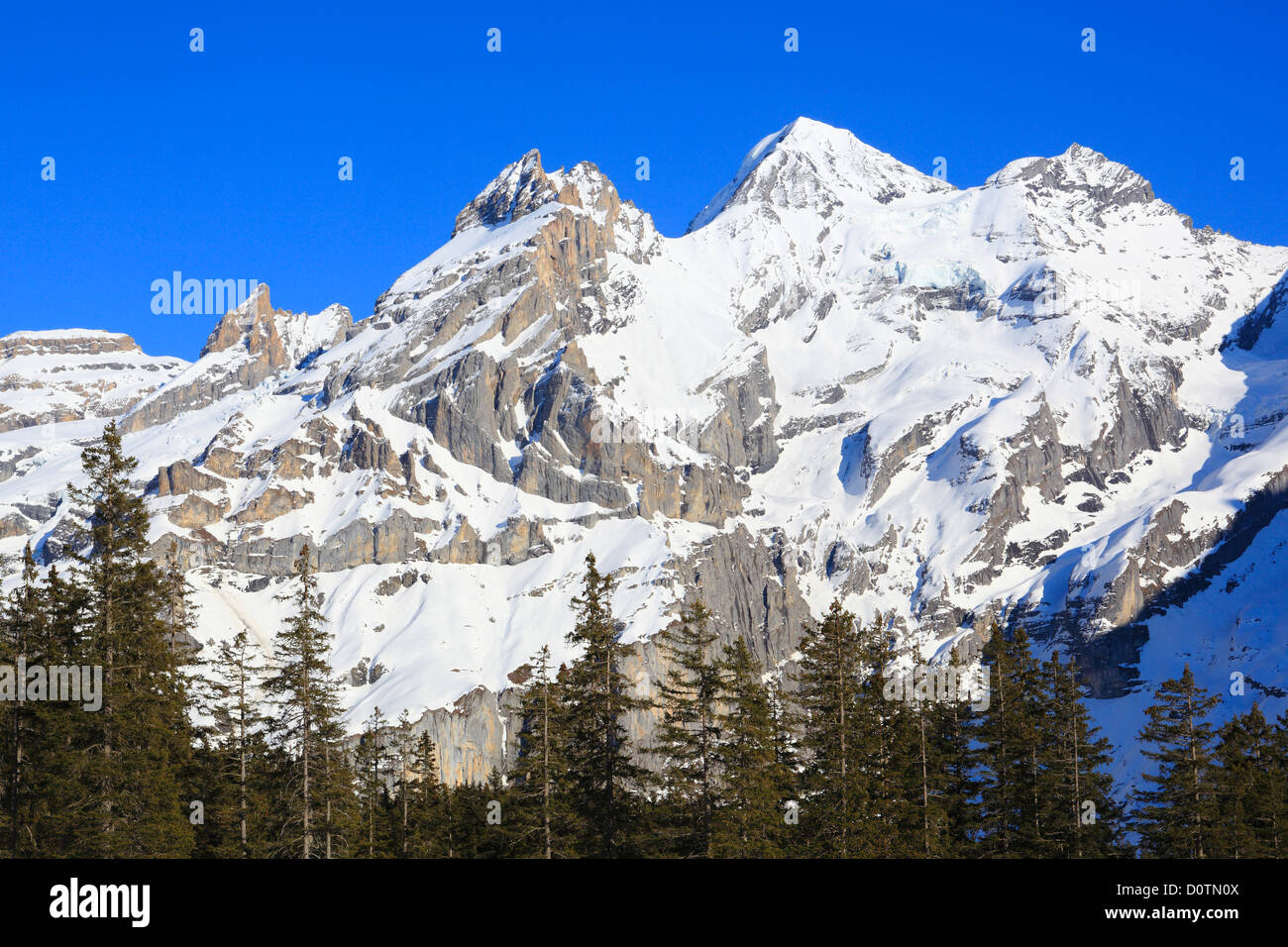 Alps, Alpine, panorama, view, mountain, mountains, massif, mountain ...