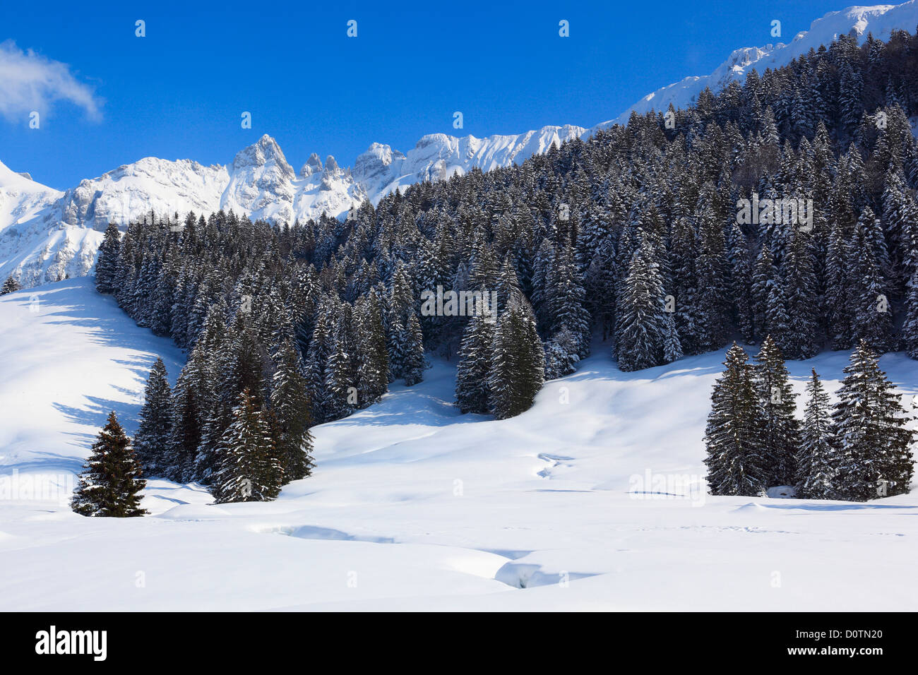 Alp, Alps, Alpstein, Alpstein area, Appenzell, view, mountain, mountain ...
