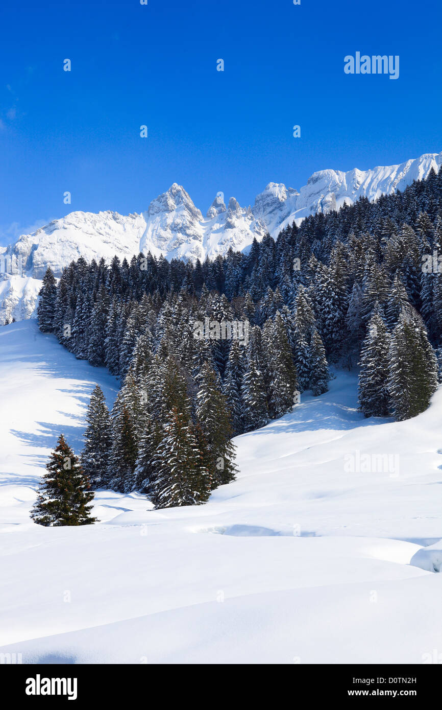 Alp, Alps, Alpstein, Alpstein area, Appenzell, view, mountain, mountain ...