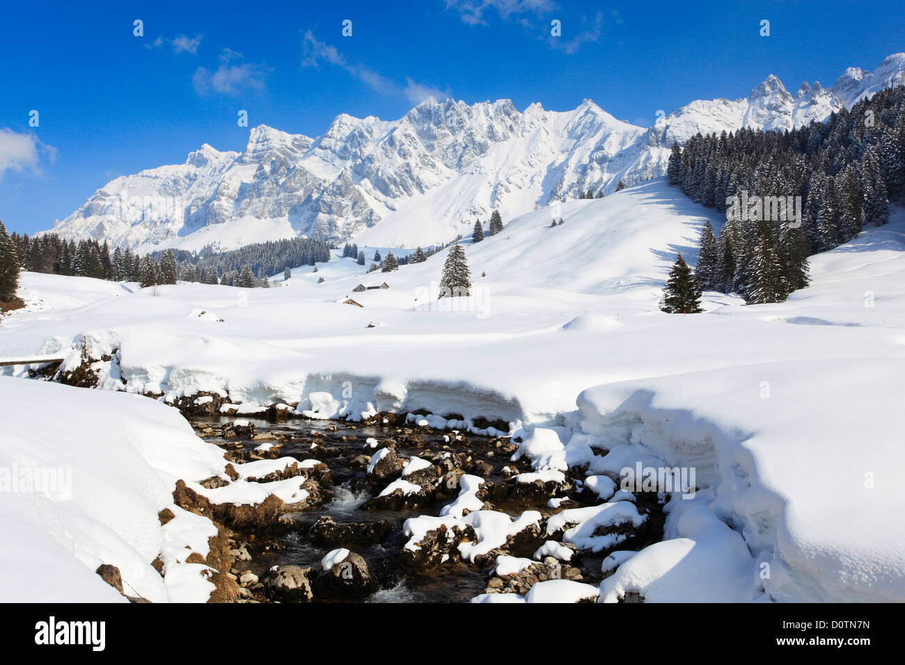 In 2502 m, Alp, Alps, Alpstein, Alpstein area, Appenzell, view, brook ...