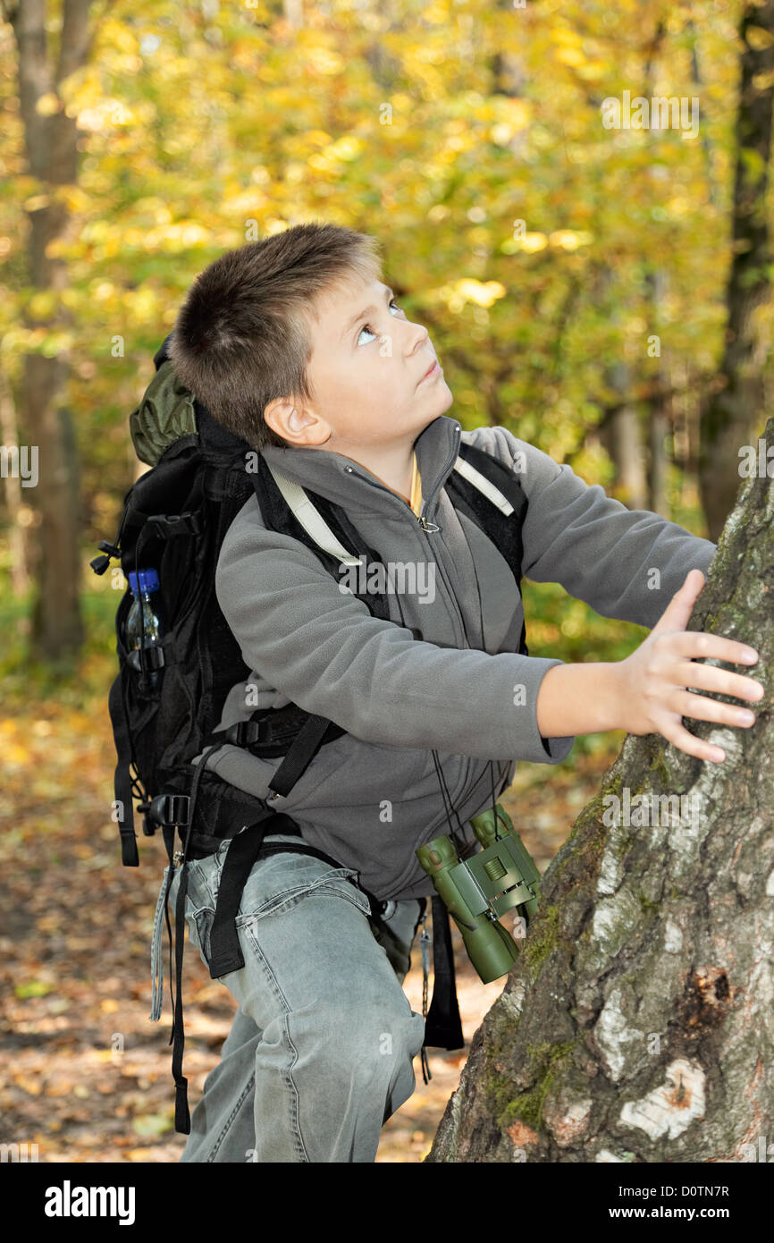 Boy climbing up on tree Stock Photo - Alamy