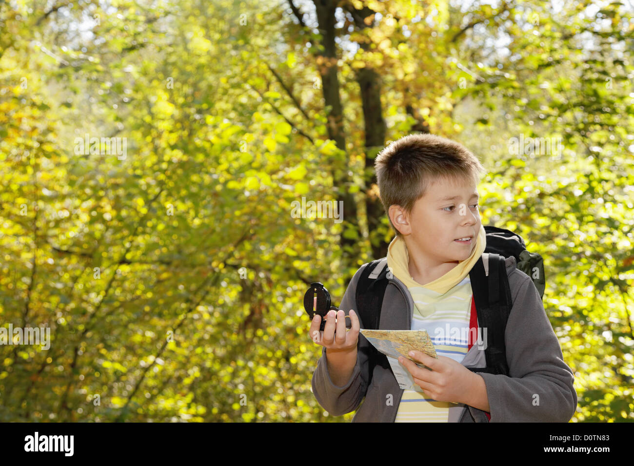 Boy orienteering in forest Stock Photo - Alamy