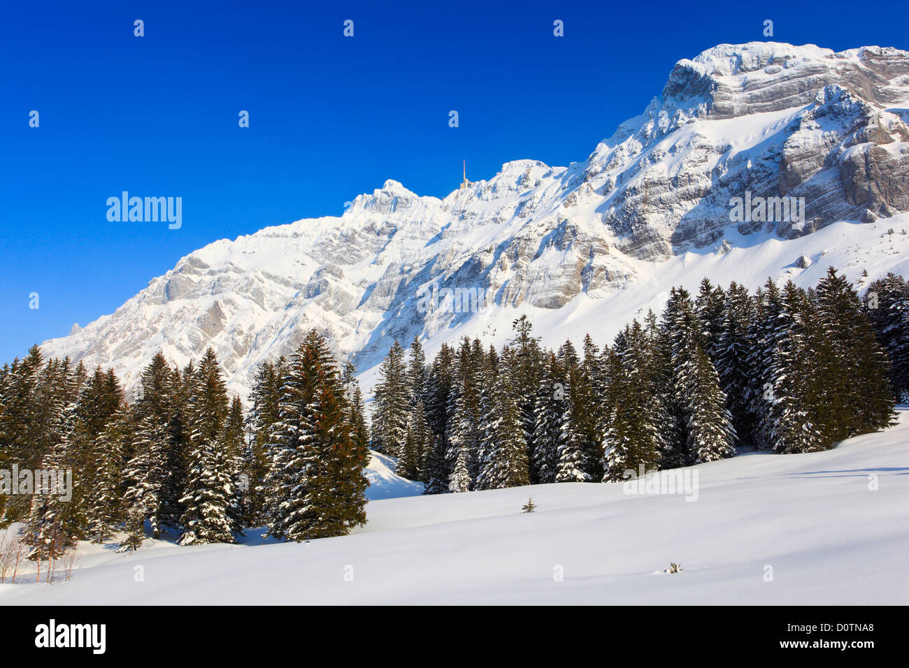 In 2502 m, Alp, Alps, Alpstein, Alpstein area, Appenzell, view ...
