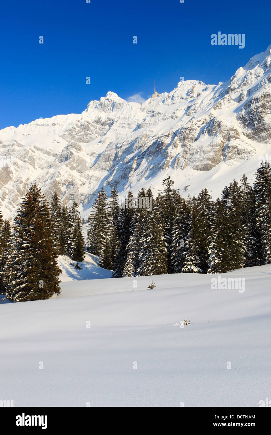 In 2502 m, Alp, Alps, Alpstein, Alpstein area, Appenzell, view ...