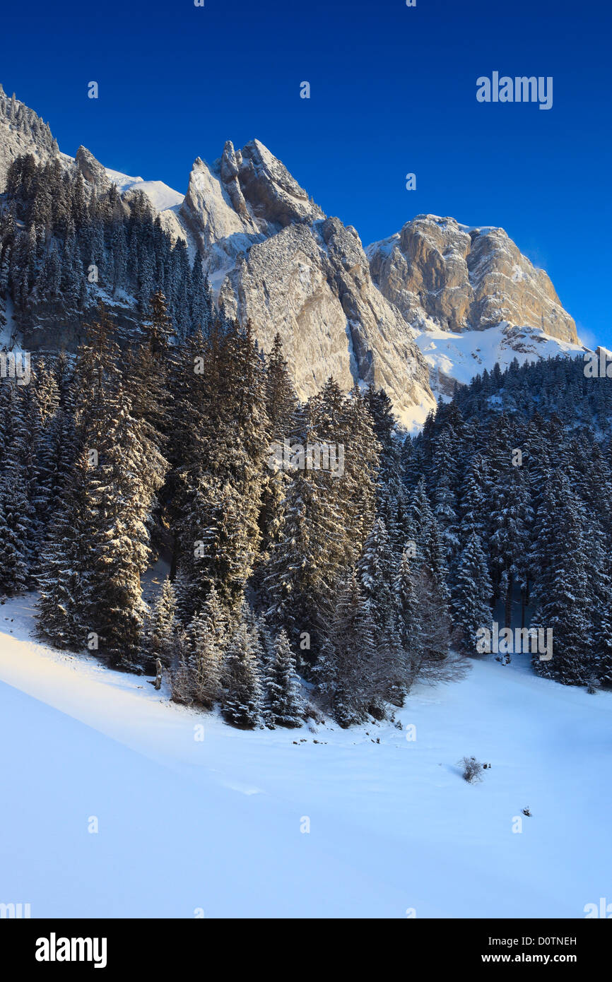 Alps, Alpstein, Alpstein area, Altmann, Appenzell, view, mountain ...