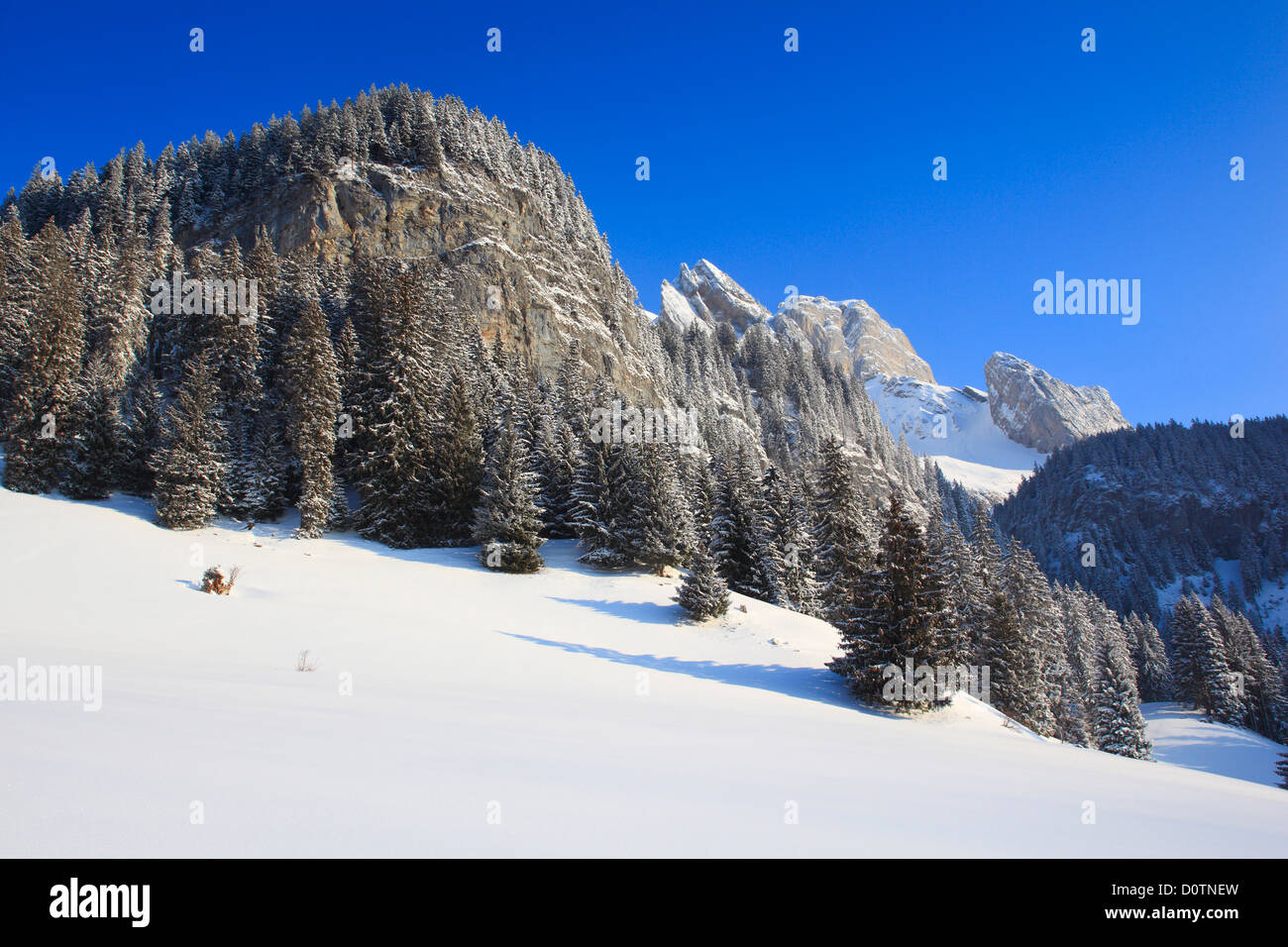 Alps, Alpstein, Alpstein area, Appenzell, view, mountain, mountain ...