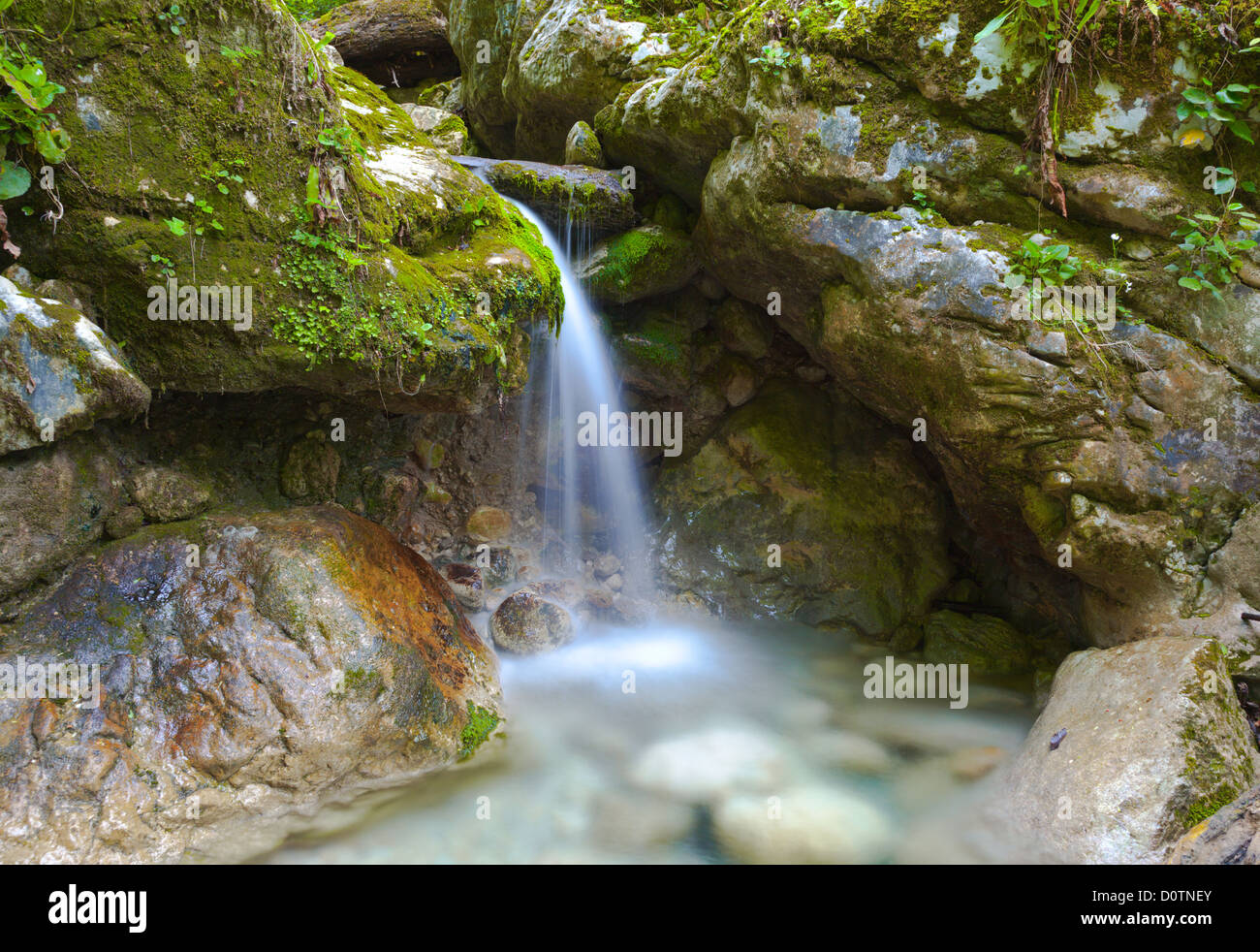 Waterfall in green forest trees hi-res stock photography and images - Alamy